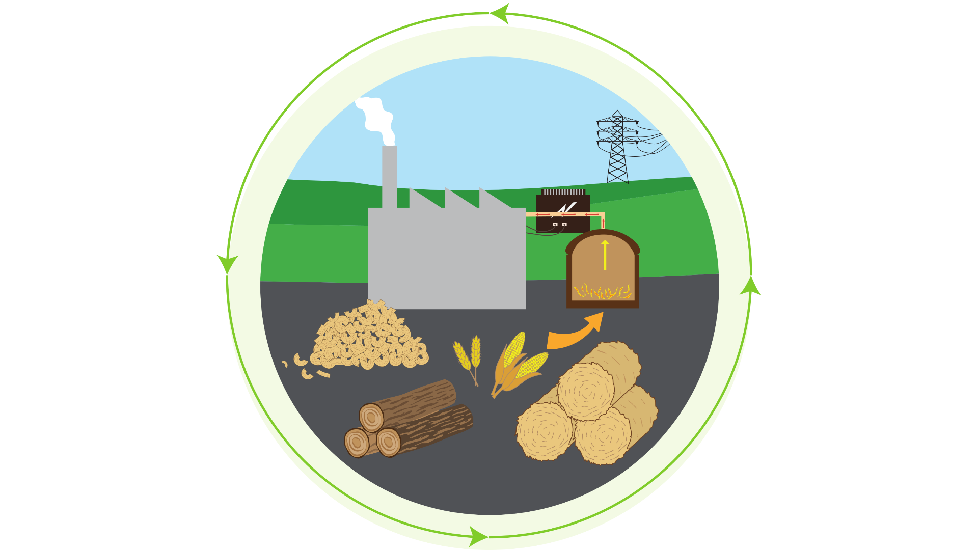Energieträger Biomasse | Linie-e